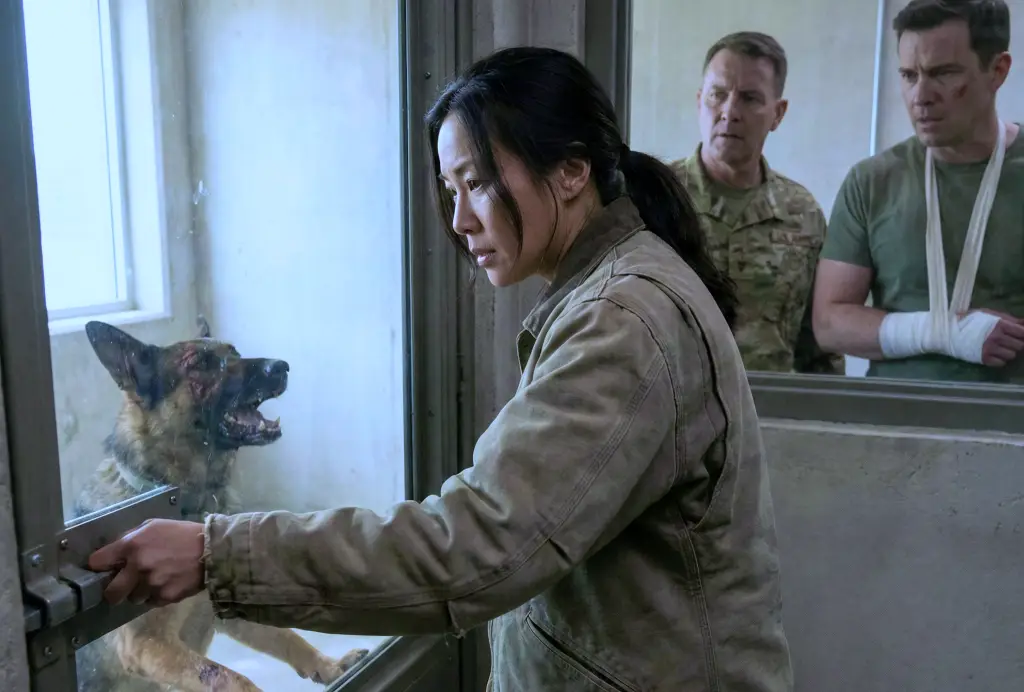 No One Could Control the Wild K9 — Until the SEAL Woman Stepped In and ...